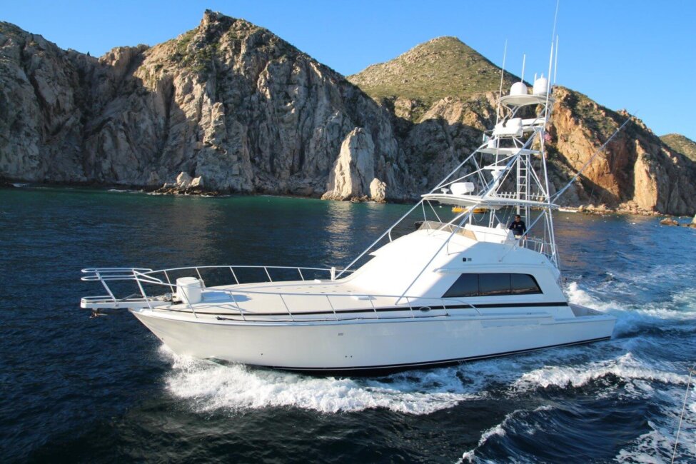 Cabo Fishing Charters - Blue Sky Cabo