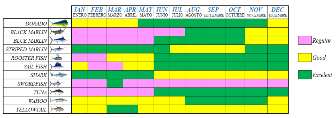 Fishing Calendar - Blue Sky Cabo