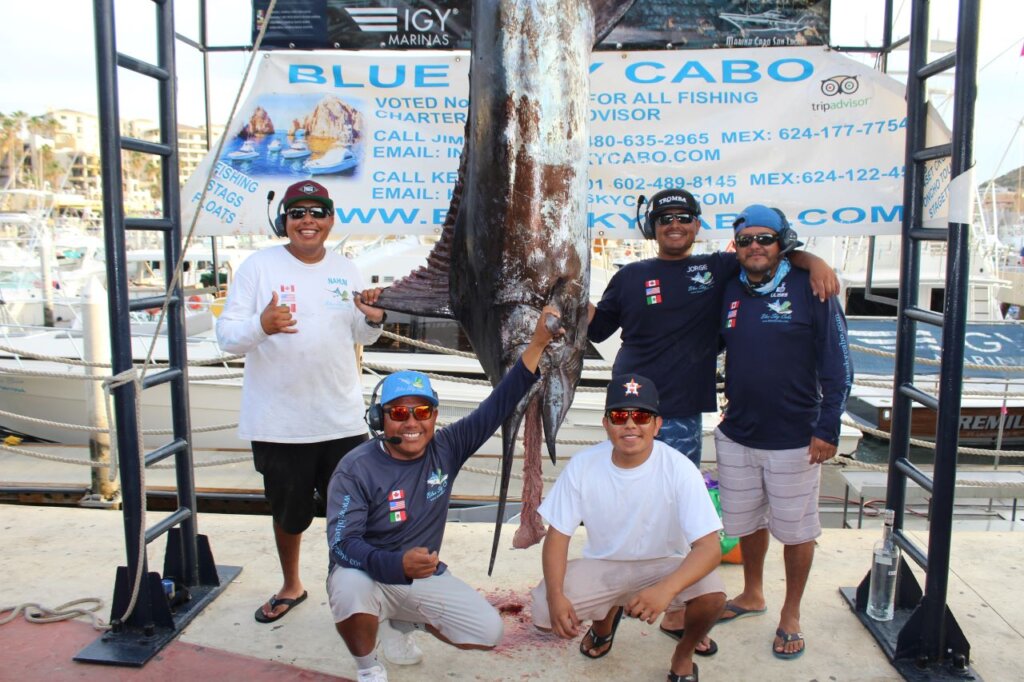 Cabo Fishing Calendar for June Species - Blue Sky Cabo