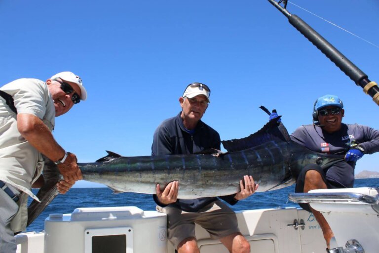 Cabo Fishing Calendar 2024 - Blue Sky Cabo