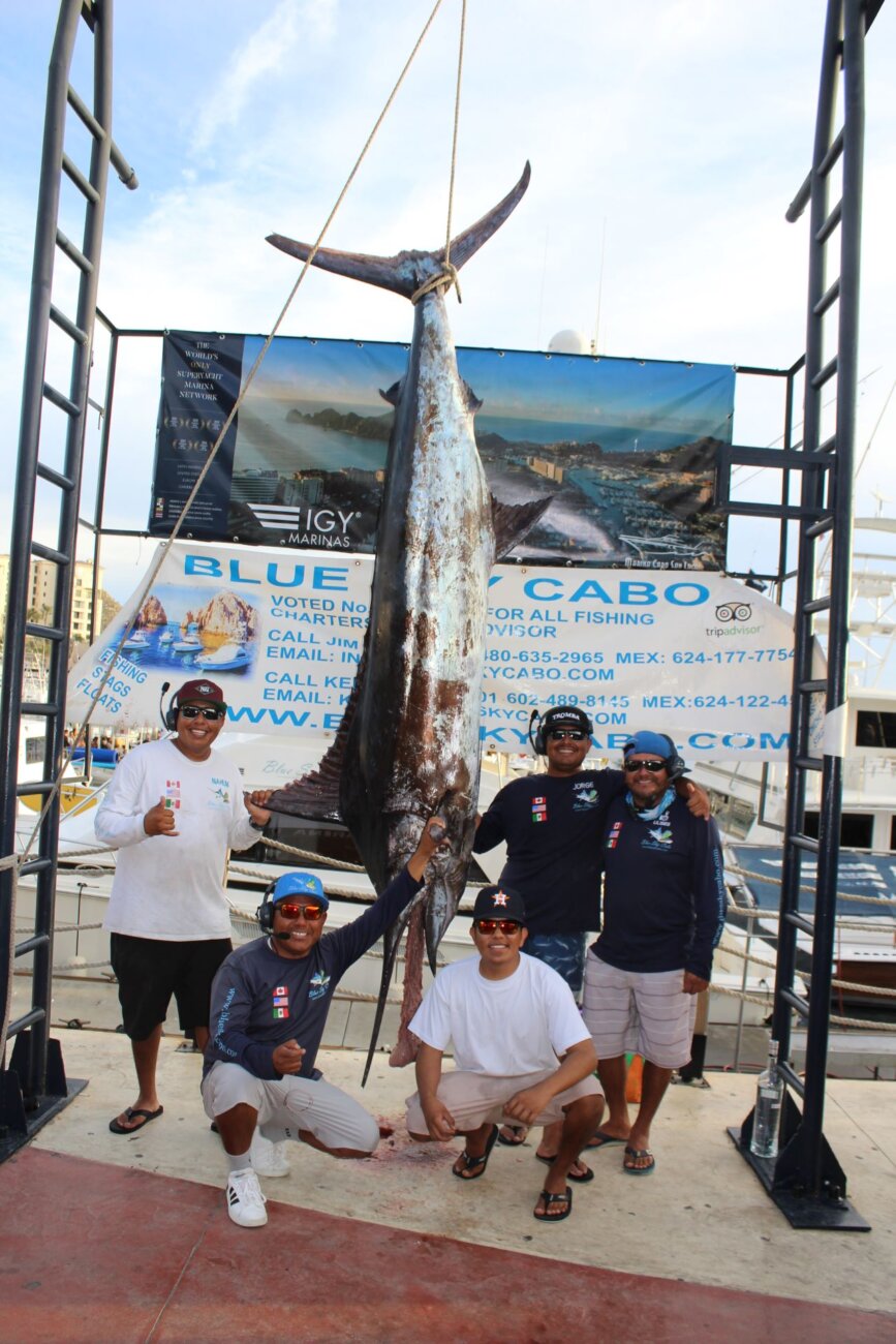 Marlin fishing report Cabo - Blue Sky Cabo