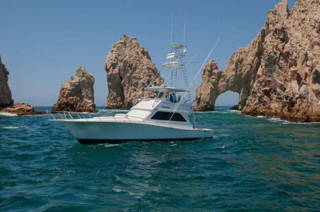 Cabo Fishing Charters - Blue Sky Cabo