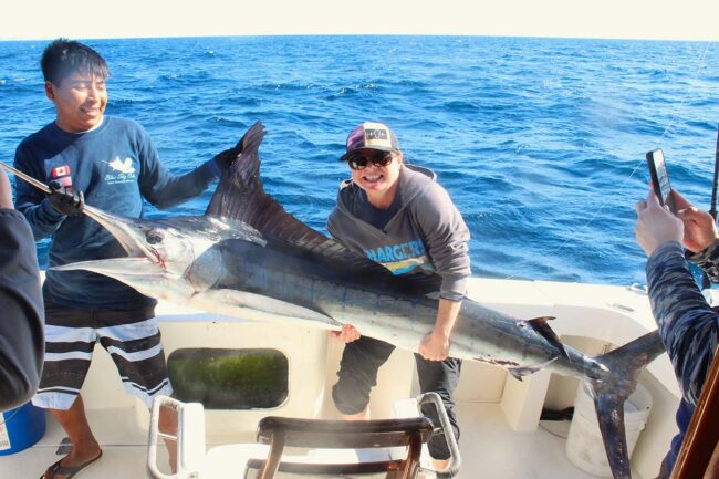 Cabo San Lucas Fishing Calendar February - Blue Sky Cabo