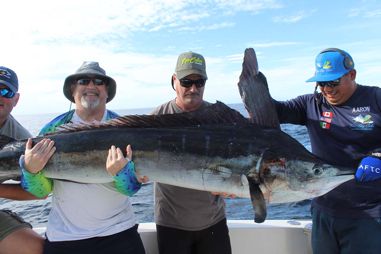 Is June Good for Fishing in Cabo San Lucas - Blue Sky Cabo